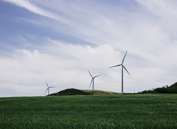 ClearBridge Investments 2023 Stewardship Report - ClearBridge Investments